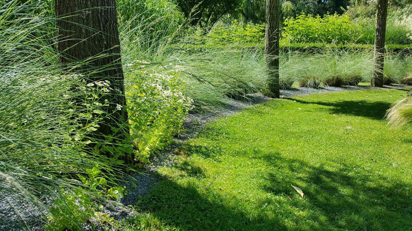 Rasen & Wiese | Gartenberatung im Verband Wohneigentum e. V.